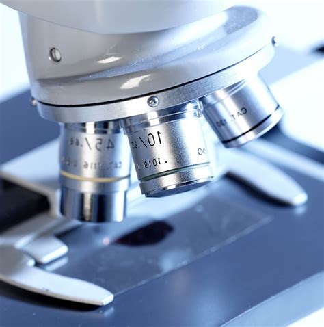 La Salmonelosis Protección De Salmonella Con Vacunas Vivas