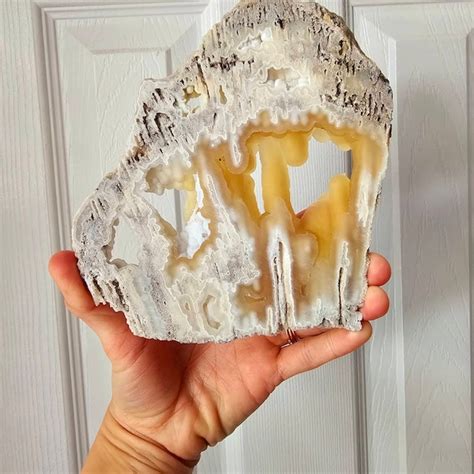 Fossilized Coral Crystal Druzy Pieces Lot Of 4 2 21 9 25 Etsy