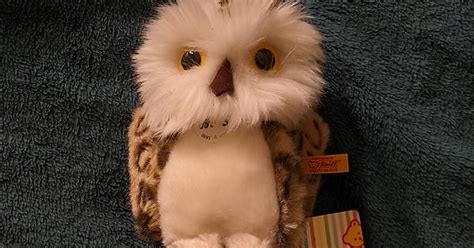 My New Steiff Owl His Name Is Wittie Album On Imgur