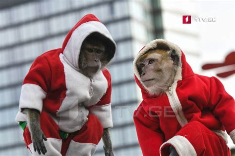 რესპუბლიკის მოედანზე გასართობი ღონისძიებები გრძელდება [ფოტო] 1tv