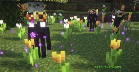 Enderman Overhaul Mod 1211 121 More Enderman Variants