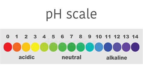 Escala Do Valor De Ph Para Soluções ácidas E Alcalinas Ilustração Do