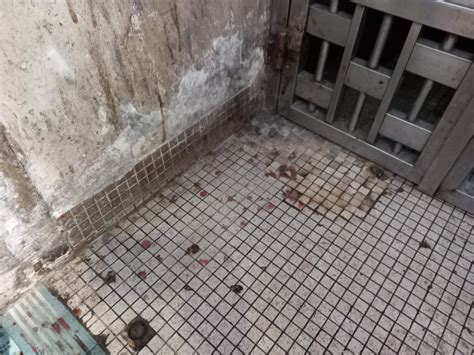 旺角持铁夹怪男出没 打伤陌生送货员逃遁 一小时后折返攞袋当场被捕 星岛日报