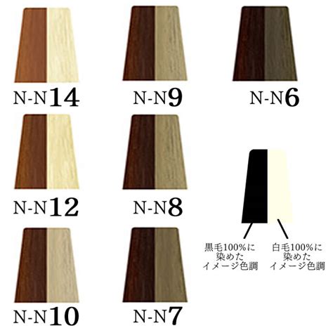 ナプラ ナシードファッションカラー＜ファッションシェード＞ ナチュラル 80g 医薬部外品｜美容室専売品のナカノザダイレクト本店