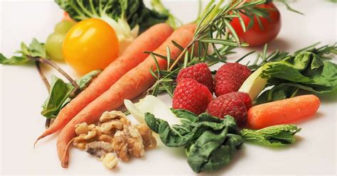 ¿qué Diferentes Tipos De Dietas Existen