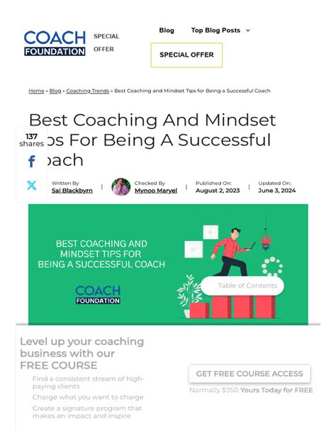 Essential Success Strategies For Aspiring Profs Pdf Optimism Mind