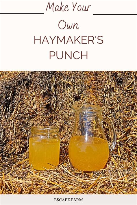 Haymaker S Punch Escape Farm Recipe In Haymakers Punch Sports Drink Switchel Recipe