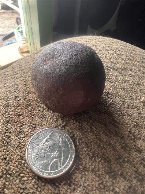 Fossilized Fruit Or What Is This Fossil Id The Fossil Forum