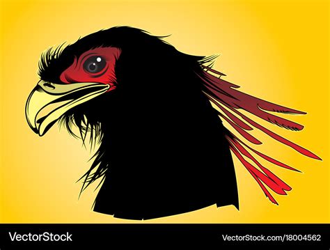 Phoenix Head Royalty Free Vector Image Vectorstock