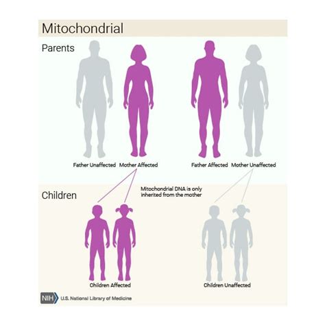 Inheritance Patterns Genetics Achievable Usmle1