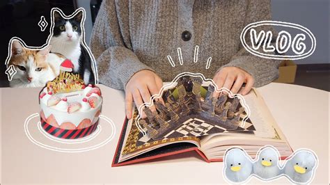 ⚡️해리포터 원서 팝업북 뜯고 집밥 해먹기 ☕️종로 가서 여기저기 돌아다니는 연말 브이로그 일상브이로그 독서브이로그 고양이 브이로그 Youtube