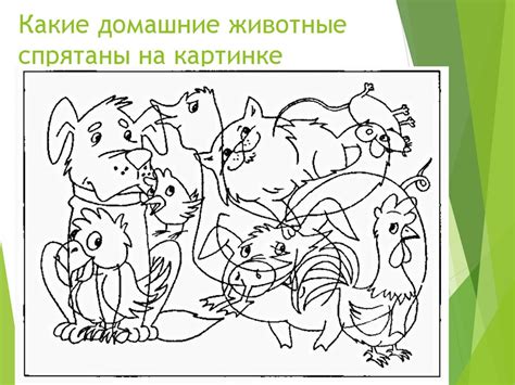 Домашние животные - online presentation