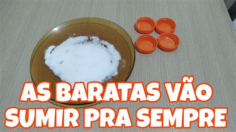 ISSO VAI FAZER SUMIR BARATAS E FORMIGAS TUDO NO MESMO DIA SÓ 2