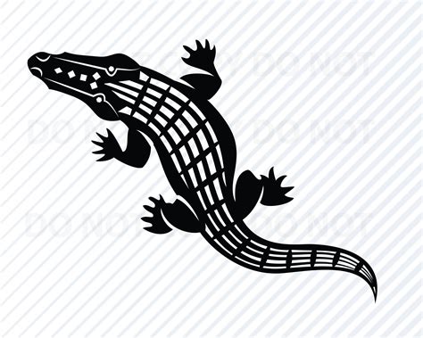 Alligator Vector Art At Collection Of Alligator