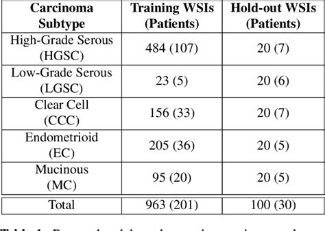 Reducing Histopathology Slide Magnification Improves The Accuracy And Speed Of Ovarian Cancer