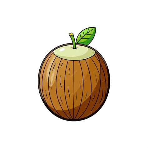 Premium Vector Coconut Cartoon Vector Illustration Flat Style Artwork