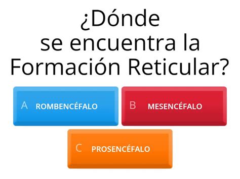 Principales Estructuras Cerebrales Quiz