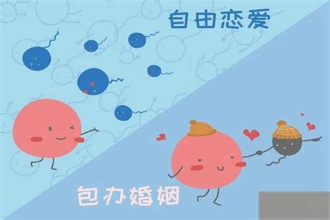 准备做试管婴儿前女性要检查什么 知乎