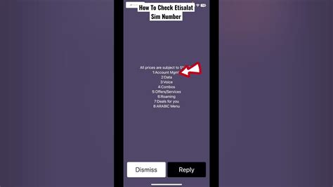 How To Check Etisalat Sim Number 🇦🇪 Youtube