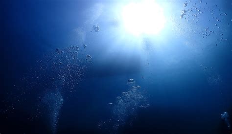 生命が誕生したのはなぜ海の中だったの？【生物の話】 ラブすぽ