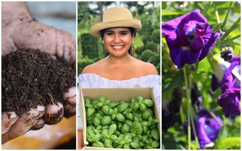 AGREA S Cherrie De Erit Atilano Inspires Resilience And Hope Through Her Work With Filipino