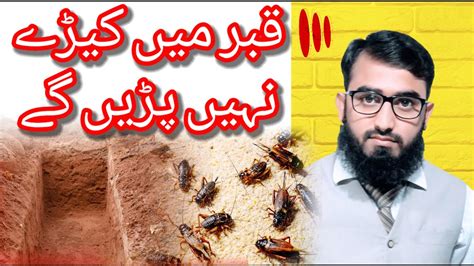Marne Ke Bad Qabar Main Keere Nahi Pare Ge After Death In Grave