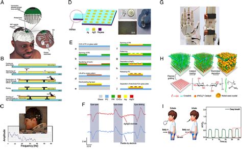 Physiological Textile Fabric‐based Sensors A Eeg Acquisition Headband
