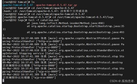Tomcat服务停止pausing Protocolhandlertomcat暂停protocol Csdn博客