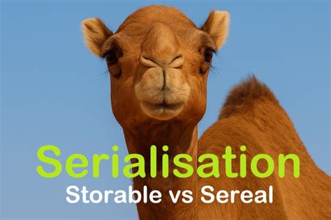 Serialisation In Perl
