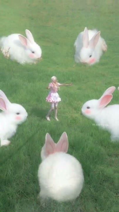 Shorts Core эстетика Alicecore Alice Trend лайкниплиз Youtube