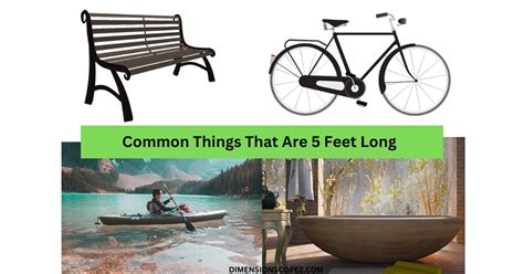10 Things That Are 10 Meters Long Big