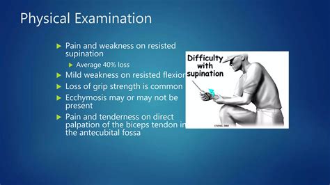 Distal Biceps Tendon Ruptures Elbow Tendinopathies South Windsor