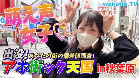 オタクの聖地！秋葉原でアホ街ック天国！【wakatte Tv】769 Youtube