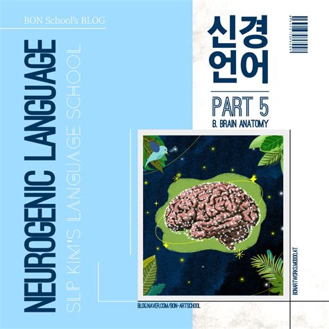 본언어심리상담센터 Bon Artschool • Instagram Photos And Videos