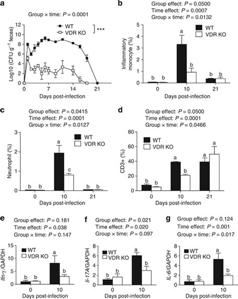 The Kinetics Of Citrobacter Rodentium Infection In Wild Type Wt And