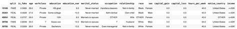 Build A “fake Vs Real” Ml Classifier Mostly Ai