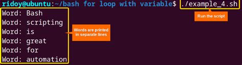 How To Use Bash For Loop With Variable Examples LinuxSimply