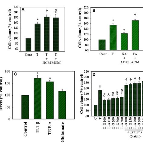 Potentiation Of Astrocyte Swelling After Trauma By Conditioned Media