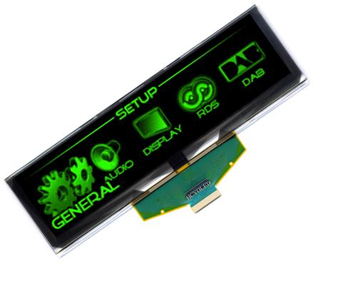 Versatile Oled Module With 256x64 Resolution And Wide Temperature Range For Use In Medical