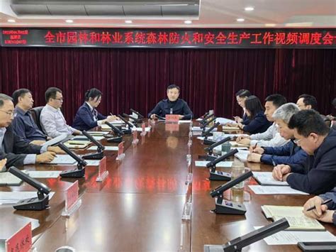 青岛召开全市园林和林业系统森林防火和安全生产工作视频调度会议 人民视点 人民周刊网—主流舆论融合传播平台