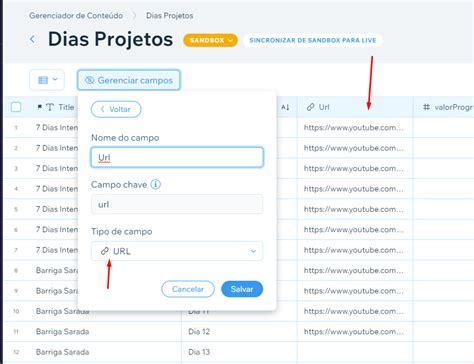 WIX Video In A Dynamic Page Velo By Wix