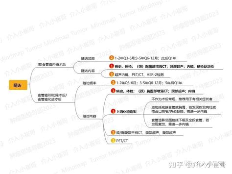 Csco2023肿瘤思维导图 食管癌诊疗指南 知乎