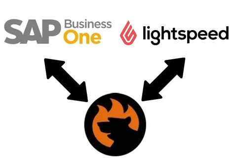 Sap Business One Integration Mit Lightspeed Firebear
