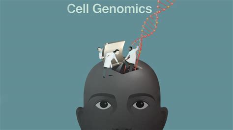 Analyzing The DNA RNA And Chromatin Simultaneously From A Single Cell