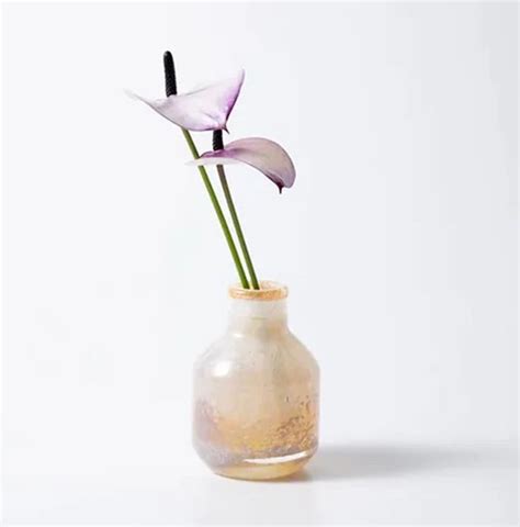 Henry Dean Kleine Flesvaasje Barbat Corzo Cozydeco Be