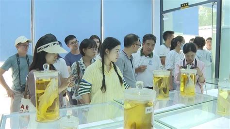“向海图强看广东”大型网络主题宣传活动走进阳西 阳西县人民政府网站