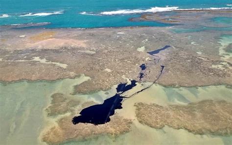5 Fatos Que Não Te Contaram Sobre A Poluição Por óleo No Litoral Do