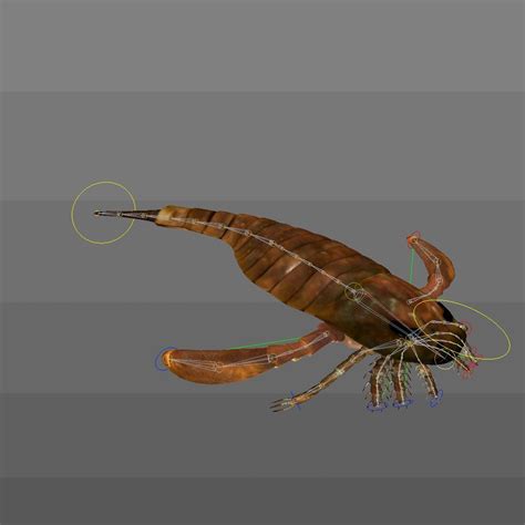 Eurypterid 3d Model 49 C4d Unknown Free3d