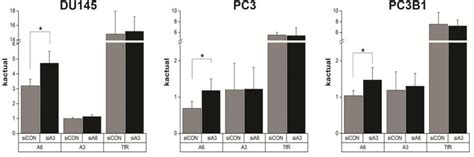 Actual Internalization Rate Constant Of Laminin Binding Integrins On