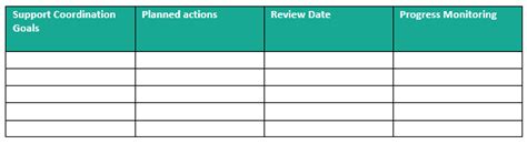 Support Coordination Action Plan